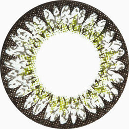 Sakura Grey Contacts - Buy Sakura Grey Contact Lenses Online