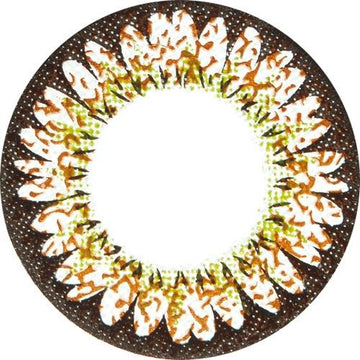 Brown Colored Contacts - Buy Brown Contact Lenses Online